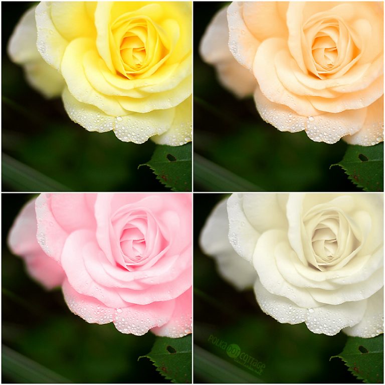 tutorials Archives ⋆ Page 3 of 8 ⋆ Polka Dot Cottage